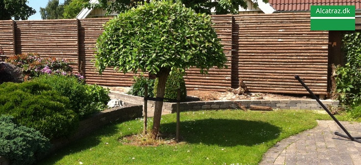 Raftehegn - Udregn selv pris på Raftehegn online her